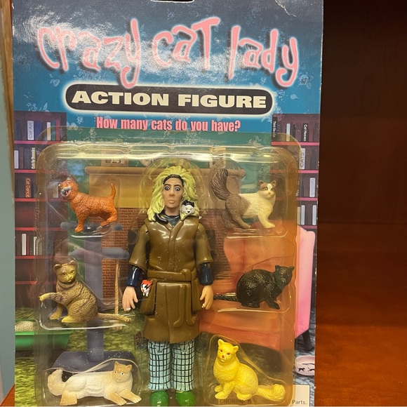 Accoutrements | Toys | Vintage Crazy Cat Lady Action Figure From ...
